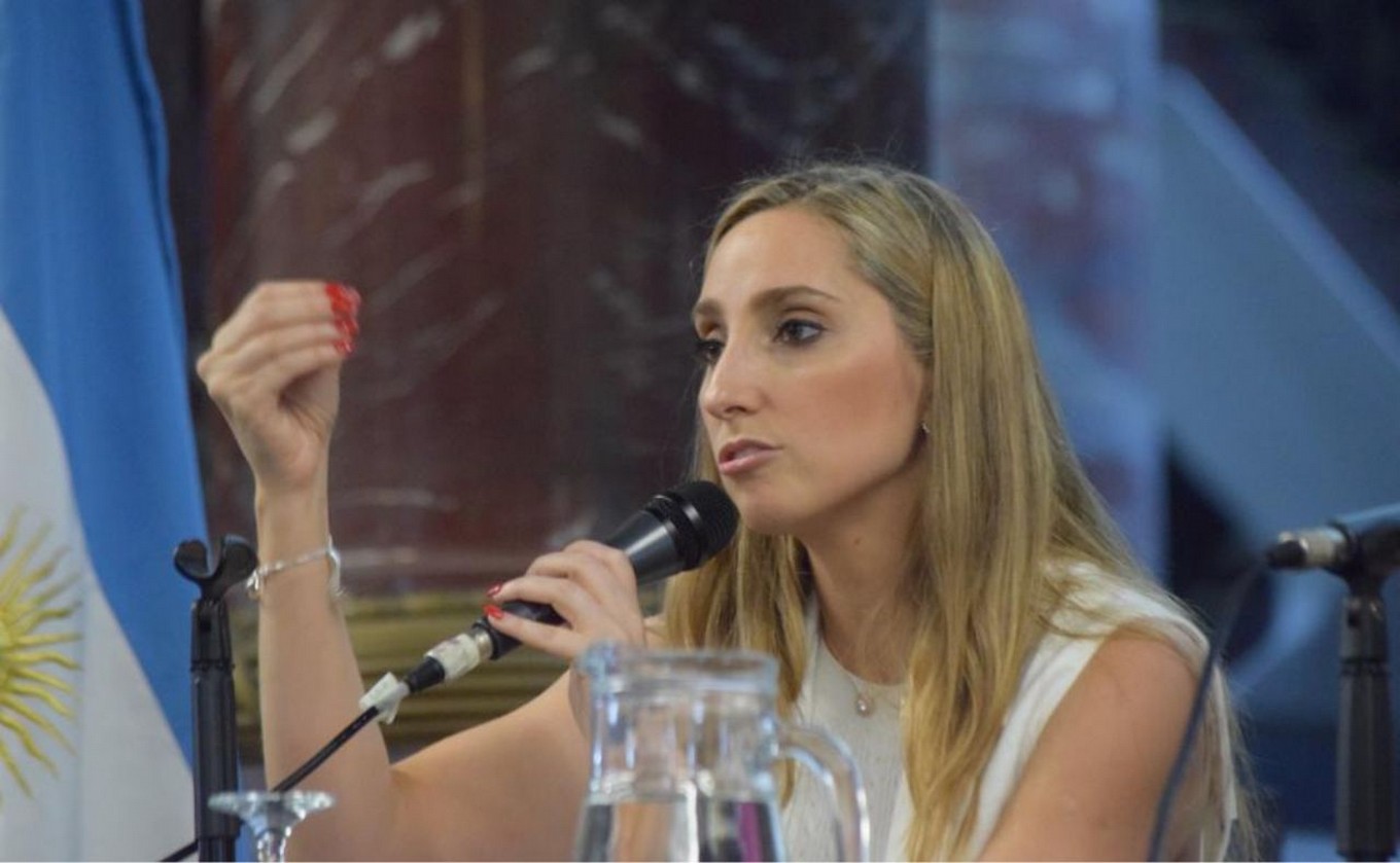 Strada y el debate de la Ley Bases: Strada y el debate de la Ley Bases:
